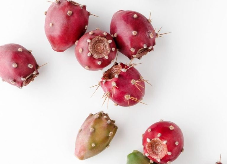 9 Ways Prickly Pear Oil Can Change your Skincare Game